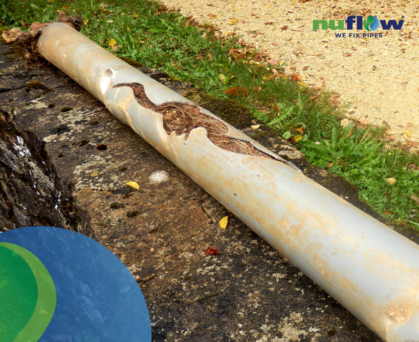 Blocked Drains: Prevention + Treatment | Nuflow Brisbane South